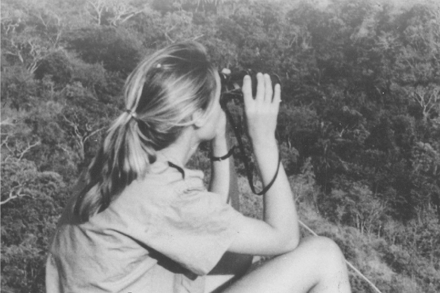 The Spell Of Jane Goodall's Magic - Yellowstonian