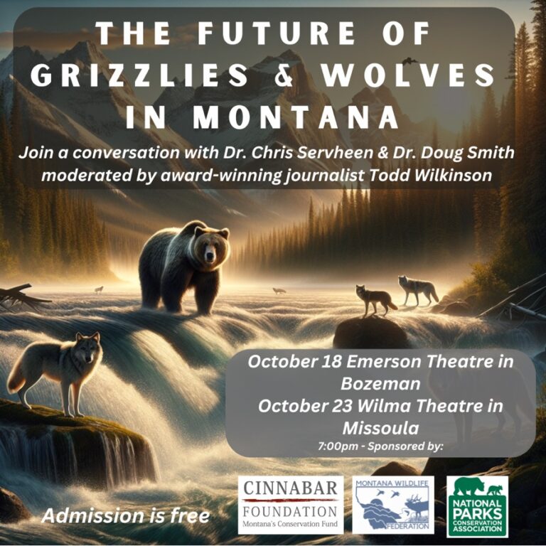 The World's Greatest Wildlife Conservation Success Stories