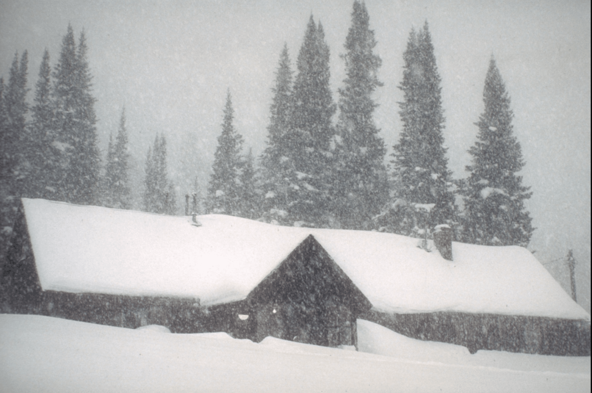 For Steve Fuller, His First of 51 Yellowstone Winters Were Among ...